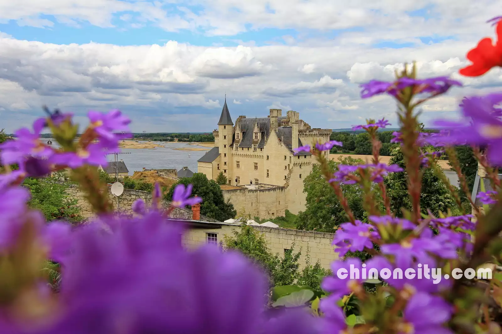 Château de Montsoreau - Chinon, Visite, Tourisme et Histoire Château de Montsoreau - Chinon, Visite, Tourisme et Histoire